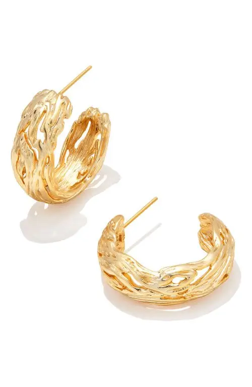 Kendra Scott Caprise Hoop Earrings - Gold
