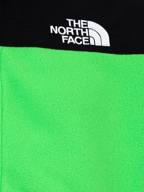 Supreme X The North Face Rtg Fleece Jacket - Green