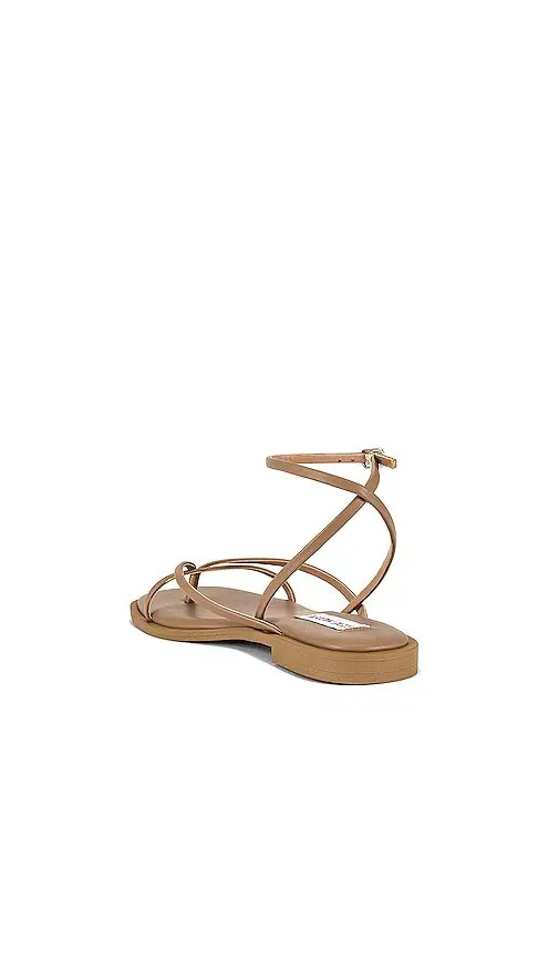 Steve Madden Agree Sandal