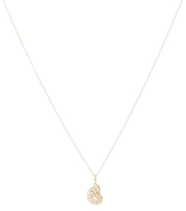 SYDNEY EVAN Nautilus Shell Necklace - Gold