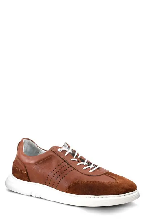 SPRING STEP SHOES Treton Sneaker - Brown