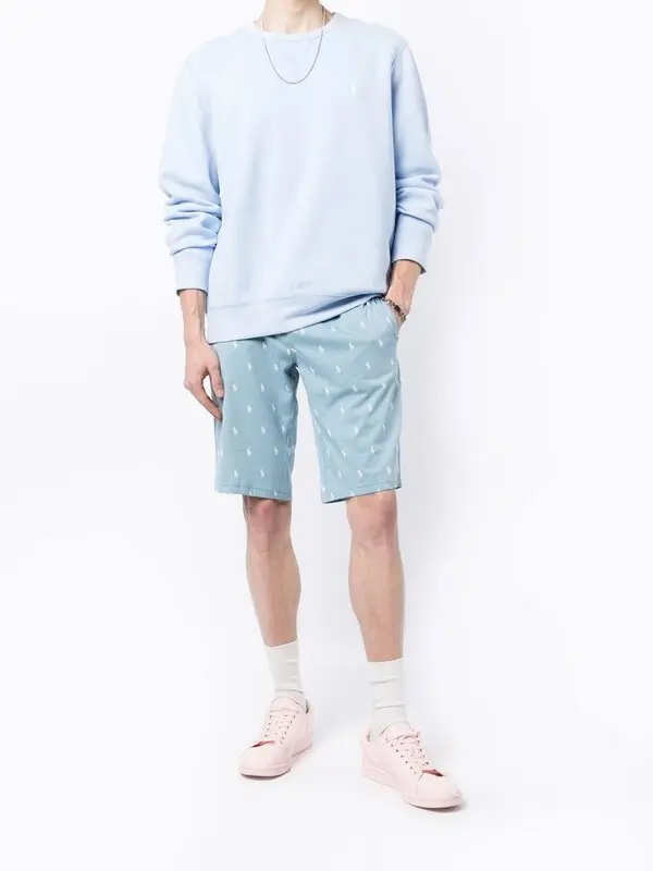 Polo Ralph Lauren Crewneck Sweatshirt With Signature Pony Motif
