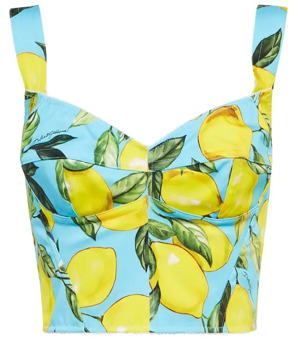 Dolce & Gabbana Printed Cotton-blend Bustier Top - Blue