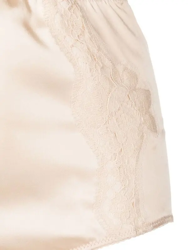 Dolce & Gabbana Lace-detail Briefs - Neutrals