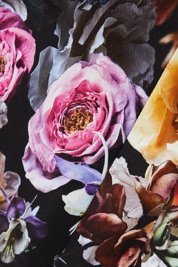 Adam Lippes Floral-print Mini Dress