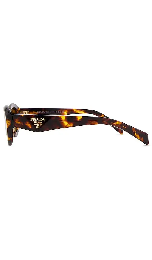 Prada Cat Eye In Brown