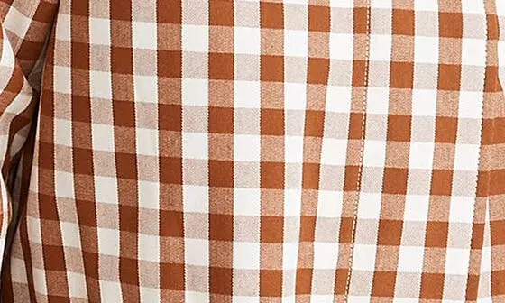 Madewell Raincloud Gingham Raincoat