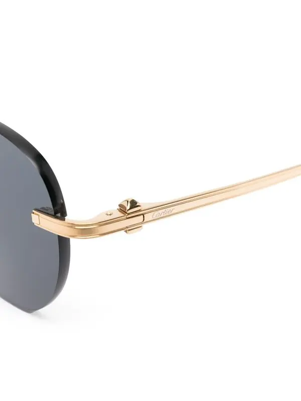 CARTIER Ct0331s Round Sunglasses