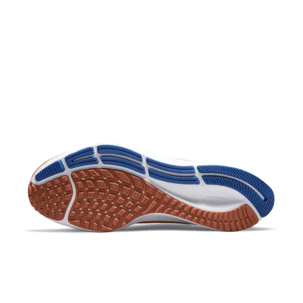 Nike College Pegasus 38 Running Shoes