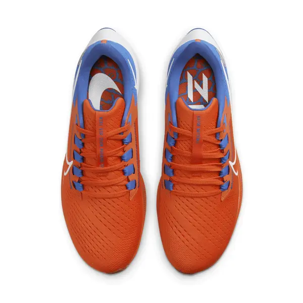 Nike College Pegasus 38 Running Shoes