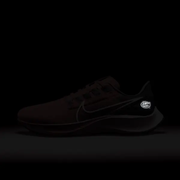 Nike College Pegasus 38 Running Shoes