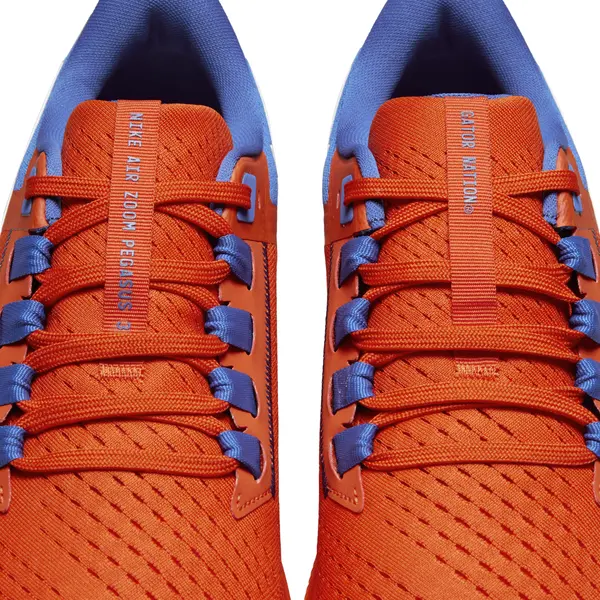 Nike College Pegasus 38 Running Shoes