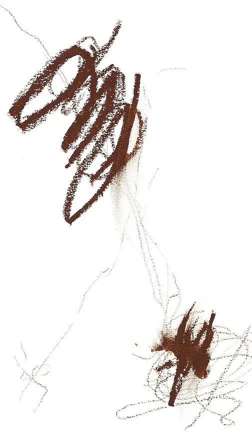 19/99 BEAUTY Precision Colour Pencil - Barna