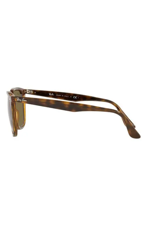 Ray-ban 55mm Round Frame Sunglasses - Havana/dark Brown