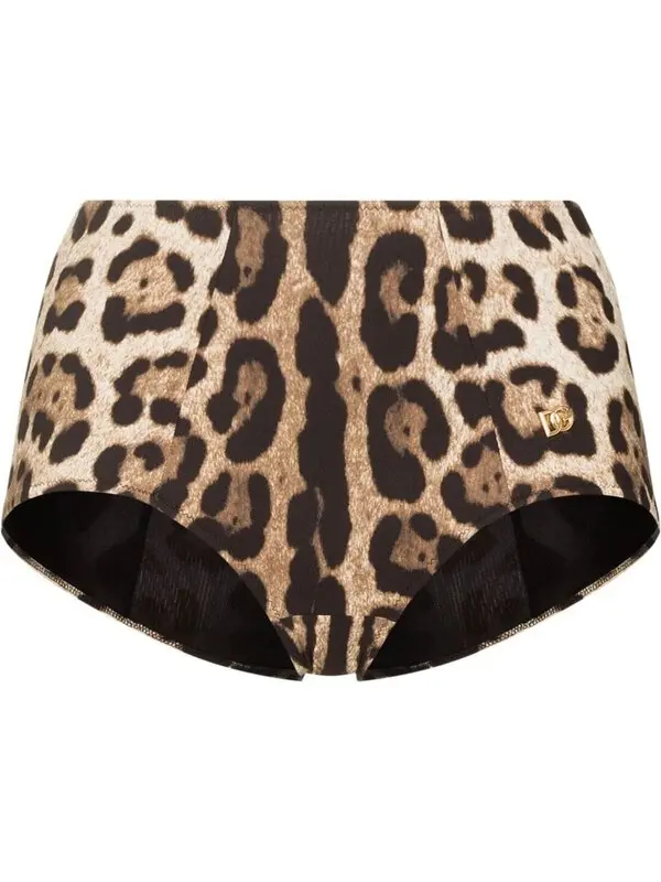 Dolce & Gabbana Leopard-print Bikini Bottom - Brown