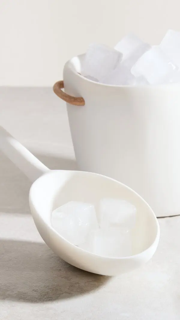 TF DESIGN Sculpt Ice Scoop