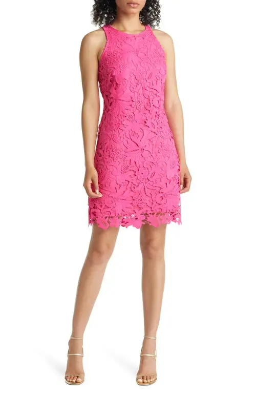 Eliza J Sleeveless Lace Overlay Shift Dress - Pink