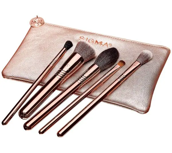 SIGMA BEAUTY Iconic Brush Set