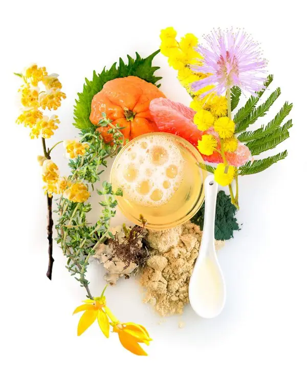 RED FLOWER Yuzu Mimosa Sea Algae Wash