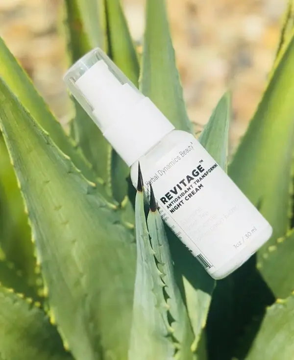 HERBAL DYNAMICS BEAUTY Revitage Antioxidant Transforming Night Cream