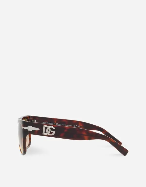 Dolce & Gabbana X Persol Sunglasses - Havana