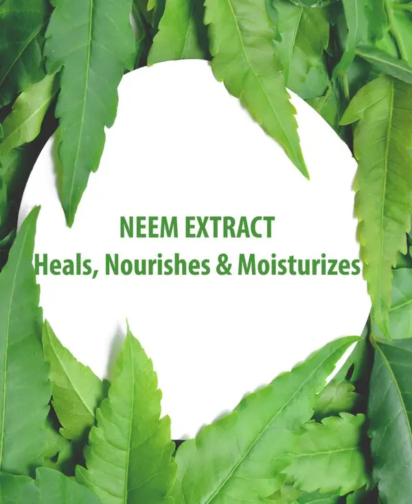 SUNDARI Neem And Avocado Balancing Moisturizer