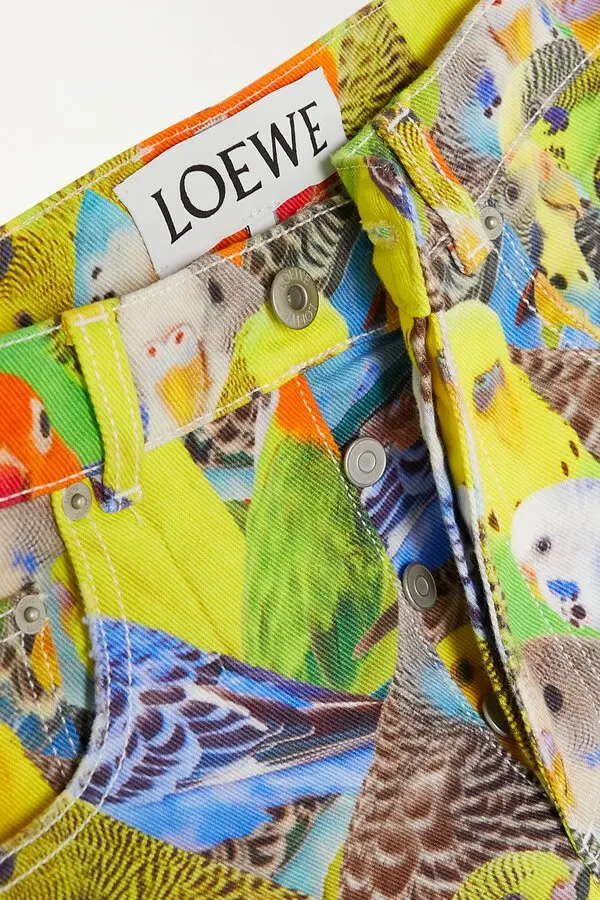 Loewe High-rise Printed Flared Jeans