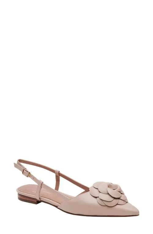 Linea Paolo Cammy Slingback Pointed-toe Flats - Blush Pink
