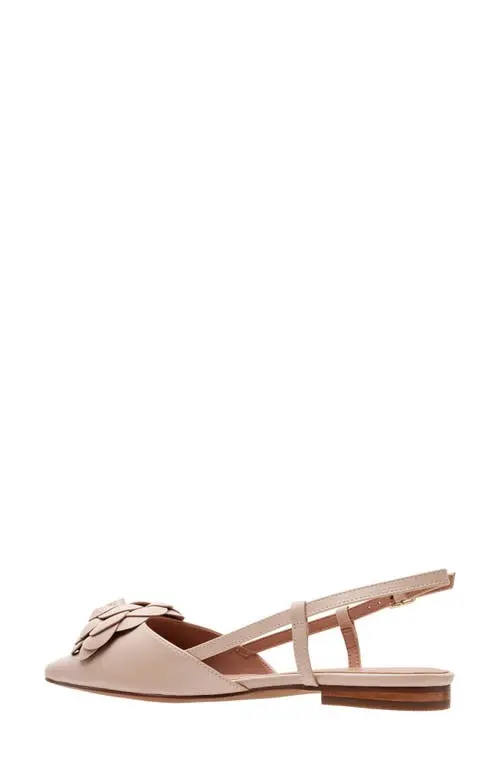 Linea Paolo Cammy Slingback Pointed-toe Flats - Blush Pink