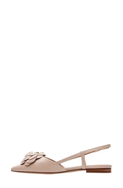 Linea Paolo Cammy Slingback Pointed-toe Flats - Blush Pink