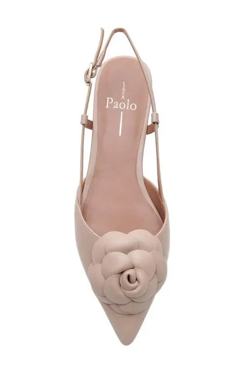 Linea Paolo Cammy Slingback Pointed-toe Flats - Blush Pink