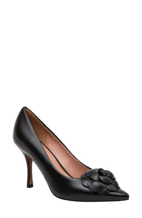 Linea Paolo Primrose Pointed Toe Pumps - Black