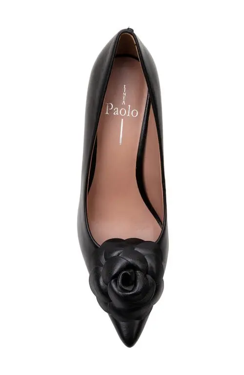 Linea Paolo Primrose Pointed Toe Pumps - Black