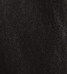 Khaite Shellar Leather Jacket - Black