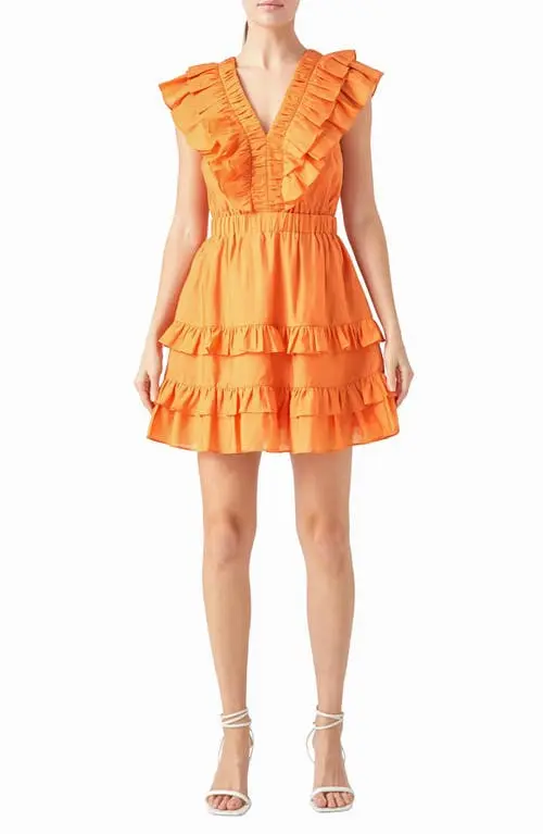 Endless Rose Ruffle Trim Minidress