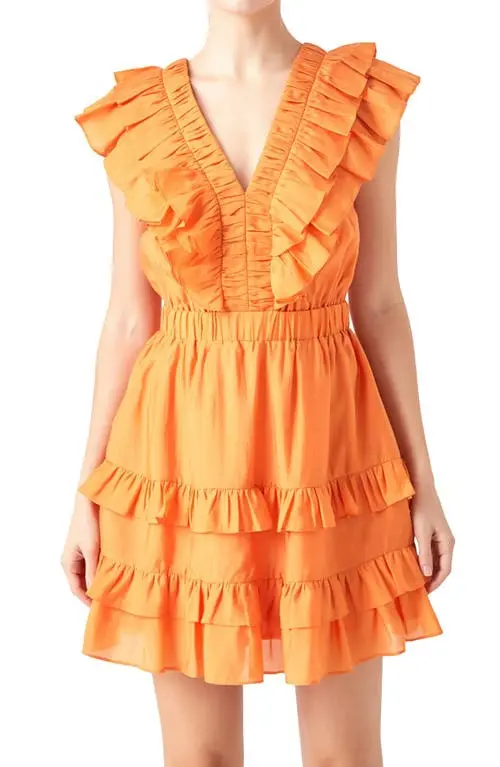 Endless Rose Ruffle Trim Minidress