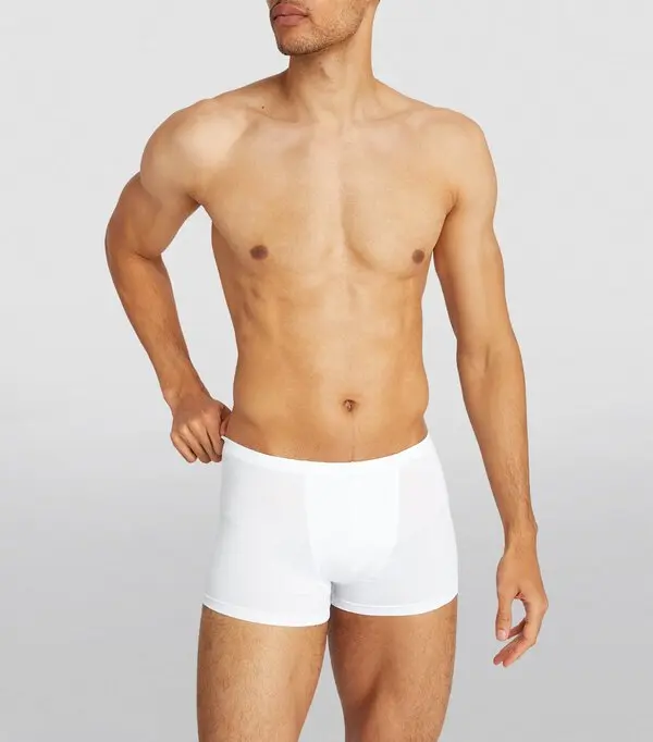 Zimmerli Stretch-modal Pureness Briefs
