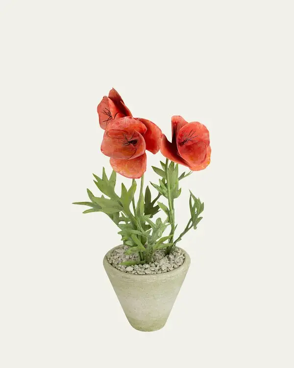 TOMMY MITCHELL Poppy August Birth Flower In White Terracotta Pot - Coral Red