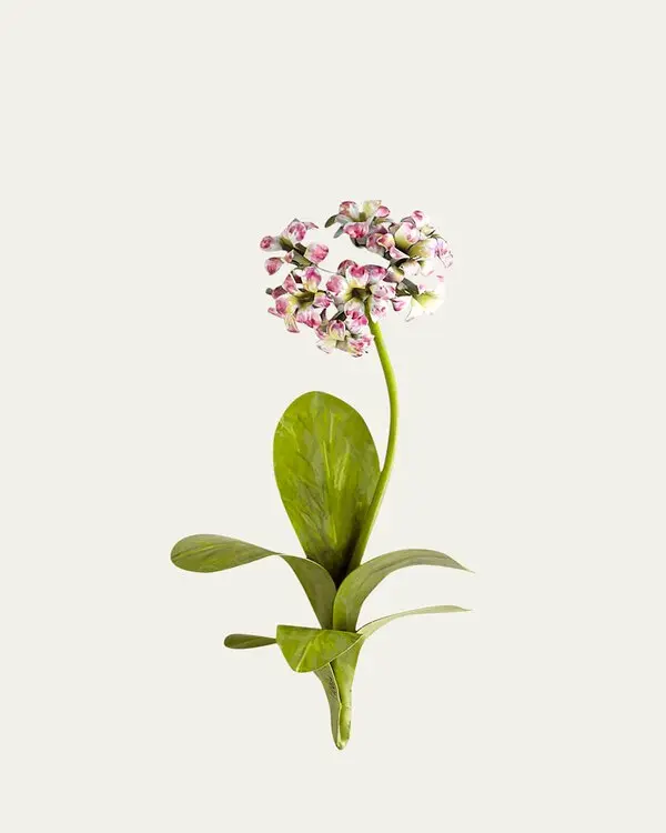 TOMMY MITCHELL Original Painted Primula Study - Pink