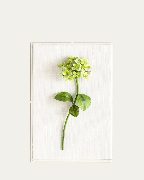 TOMMY MITCHELL Original Painted Hydrangea Study - Green