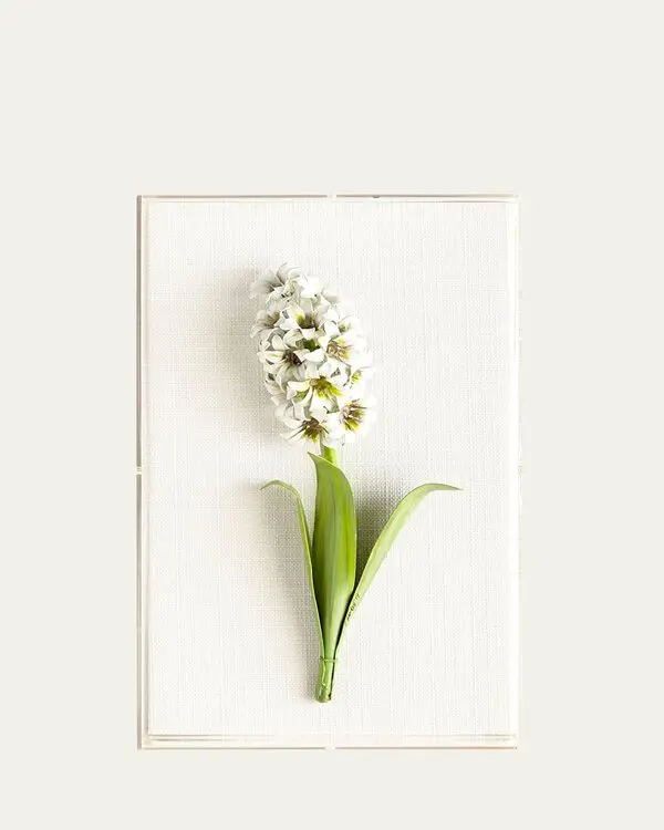 TOMMY MITCHELL Original Painted Hyacinth Study - White