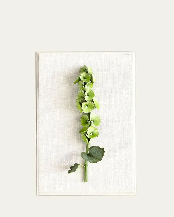 TOMMY MITCHELL Original Painted Bells-of-ireland Study - Green