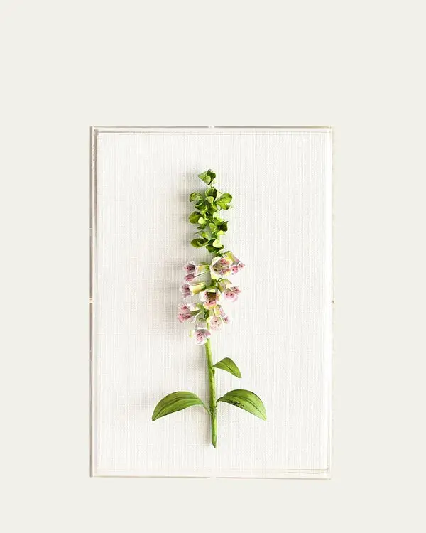 TOMMY MITCHELL Original Painted Foxglove Study - Pink