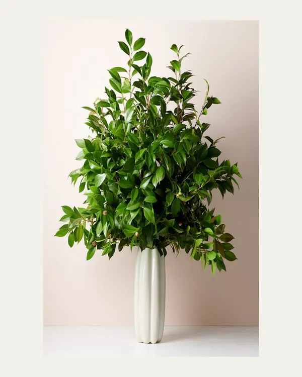 Aerin Mirabelle Tall Vase