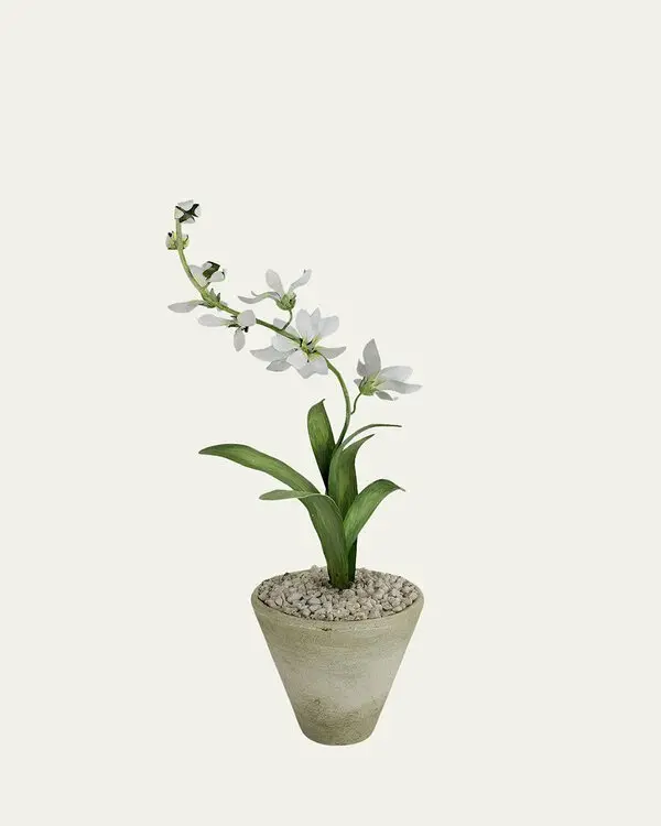 TOMMY MITCHELL Freesia March Birth Flower In White Terracotta Pot - Soft Yellow