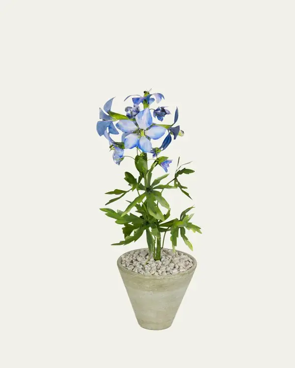 TOMMY MITCHELL Delphinium July Birth Flower In White Terracotta Pot - Blue