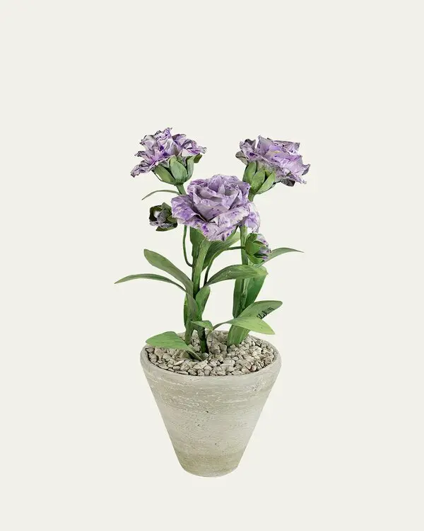 TOMMY MITCHELL Carnation January Birth Flower In White Terracotta Pot - Lavender