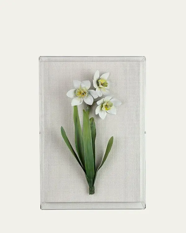 TOMMY MITCHELL Narcissus December Birth Flower Wall Art