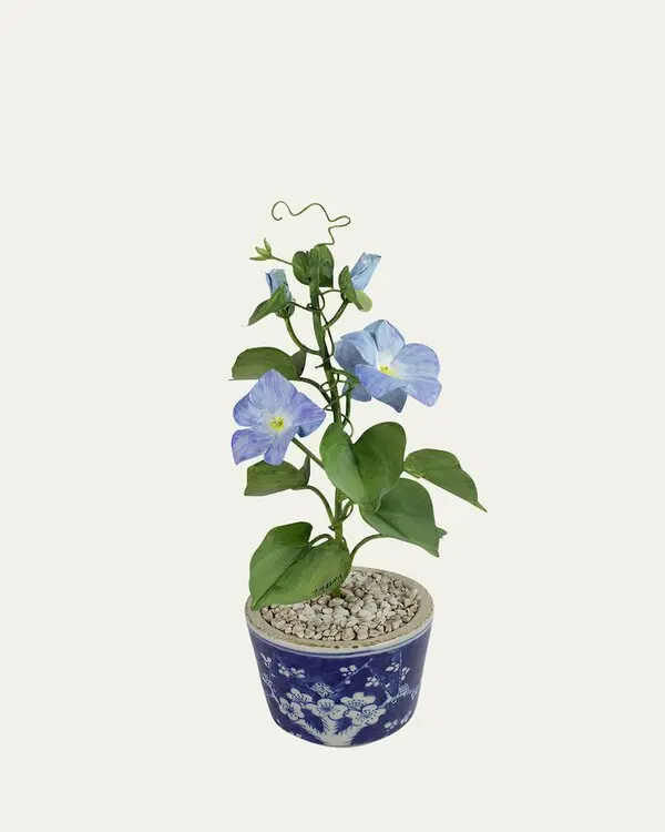 TOMMY MITCHELL Morning Glory September Birth Flower In Ceramic Pot - Blue