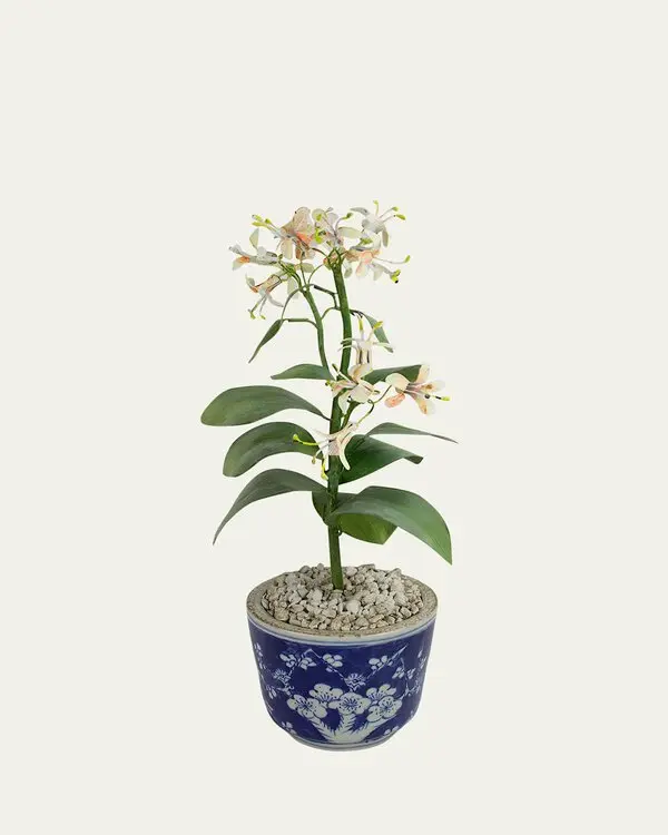 TOMMY MITCHELL Honeysuckle June Birth Flower In Ceramic Pot - Warm White